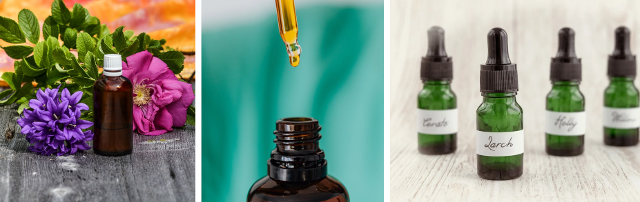 ¿Qué son las Flores Mexicanas (Elíxires Aztecas)?